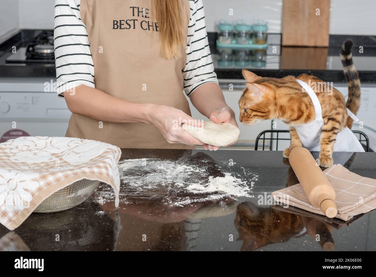 The owner woman and her cat are having fun preparing a pie or pizza in ...