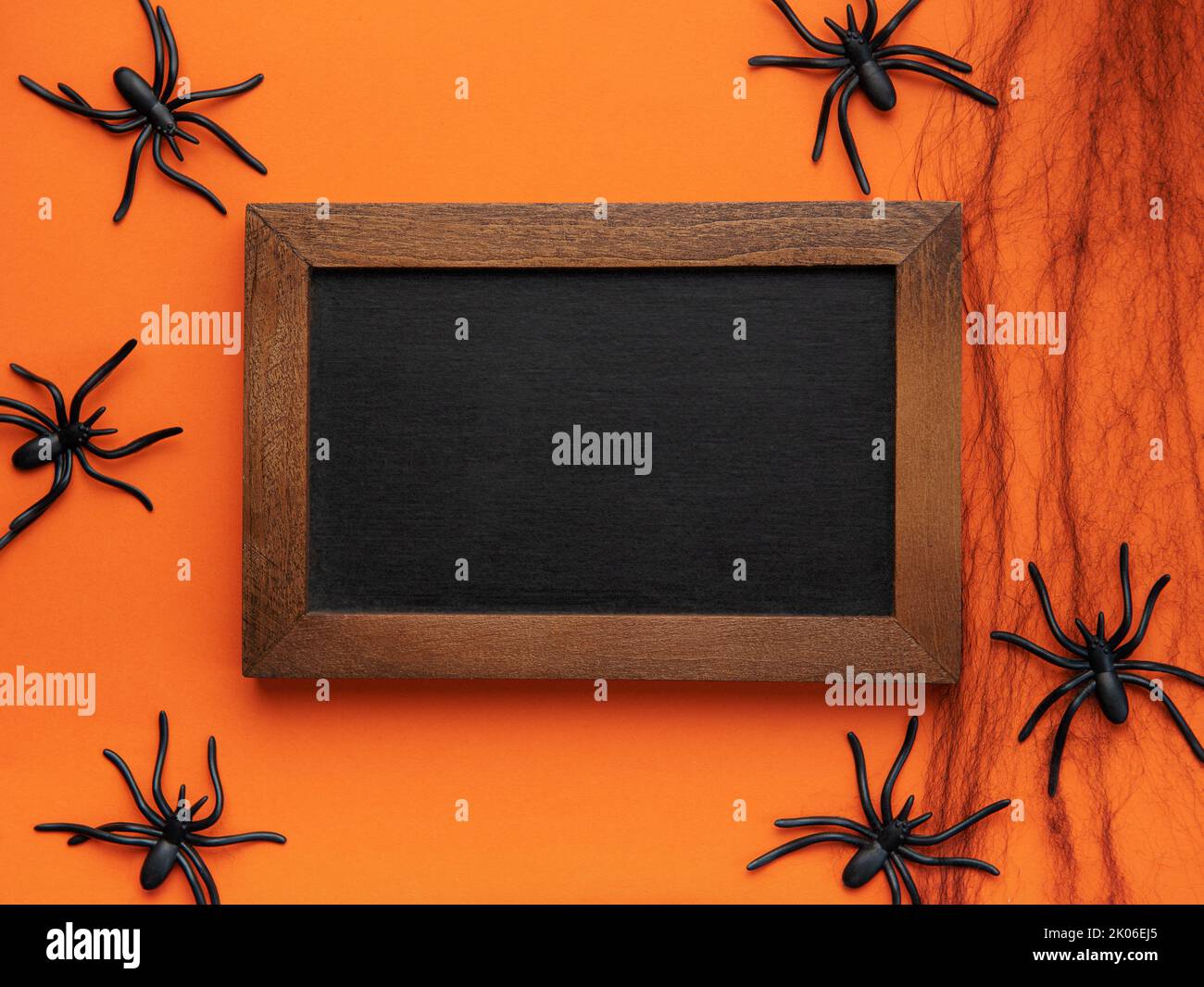 Halloween Holiday Background With Decorations Halloween Background With Spider Web And Spiders