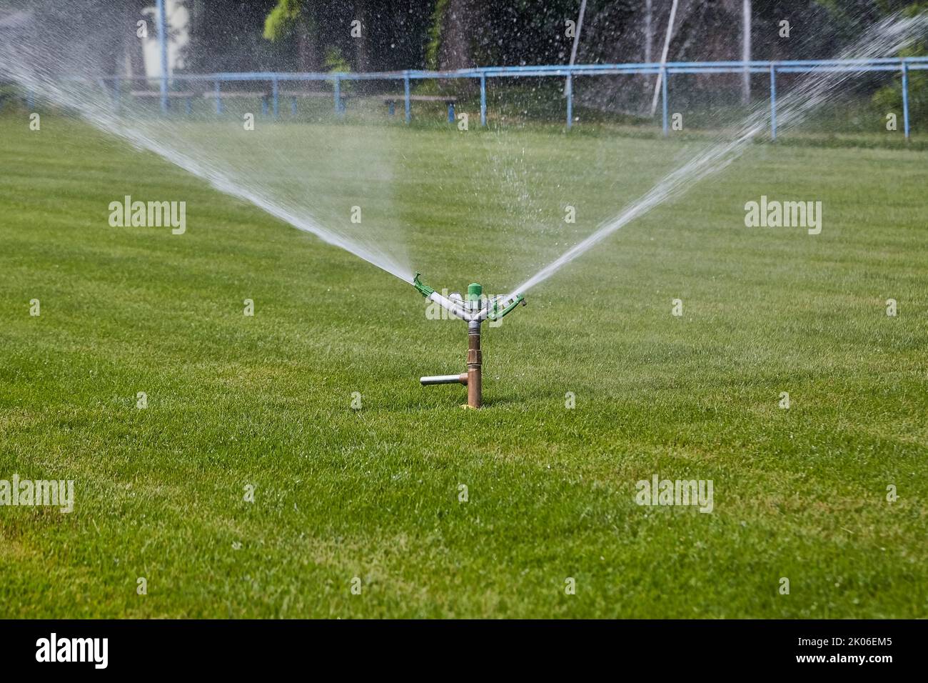Garden sprinkler watering Stock Photo - Alamy
