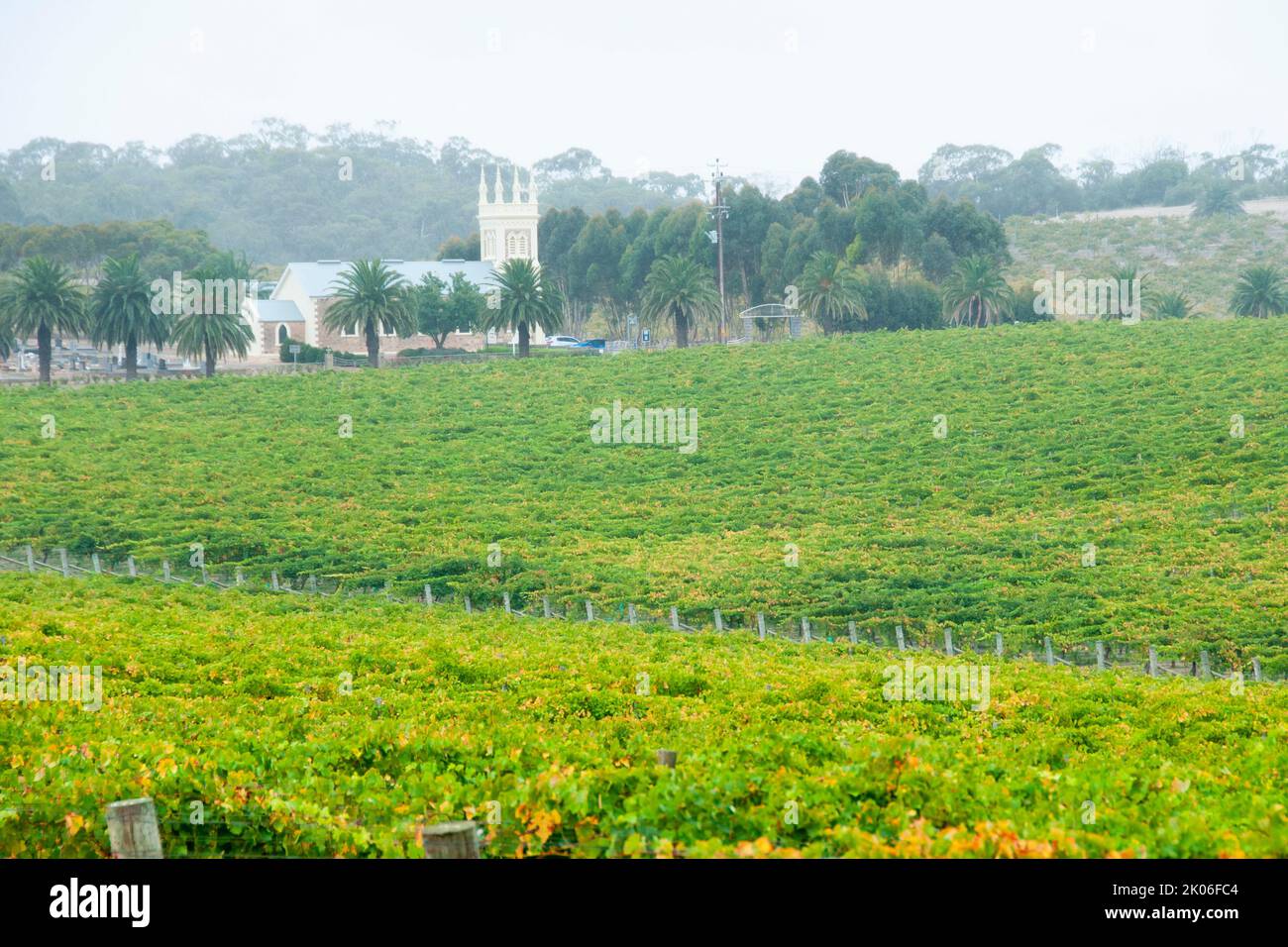 Barossa valley tourism hi-res stock photography and images - Alamy