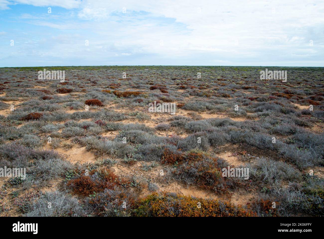 Nullarbor Plain - South Australia Stock Photo - Alamy