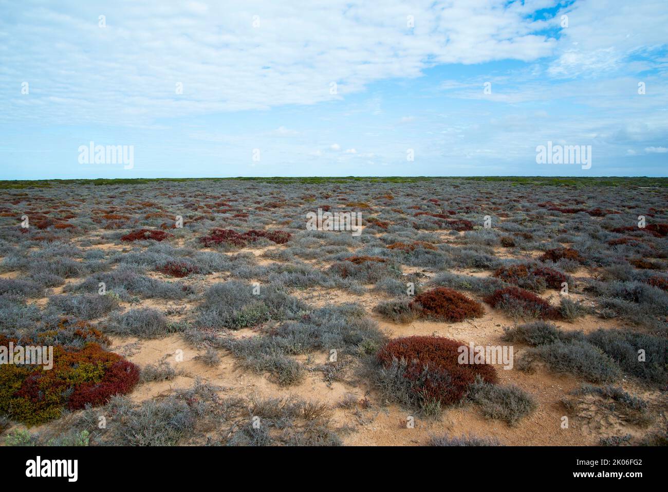 Nullarbor Plain - South Australia Stock Photo - Alamy