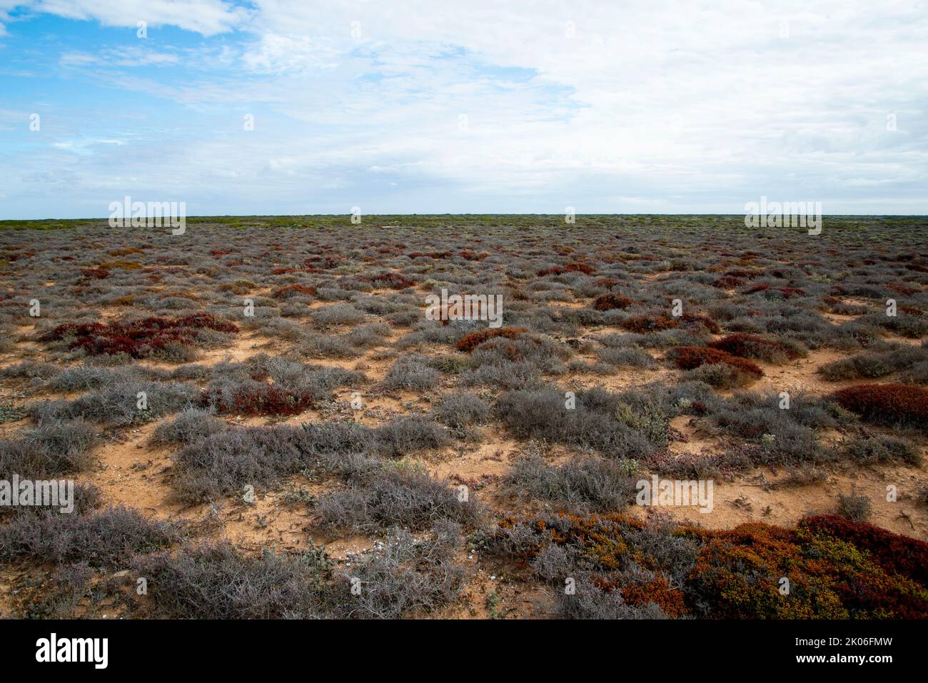 Nullarbor Plain - South Australia Stock Photo - Alamy