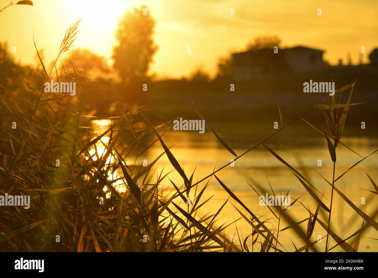 Golden vineyard sunset hi-res stock photography and images - Alamy