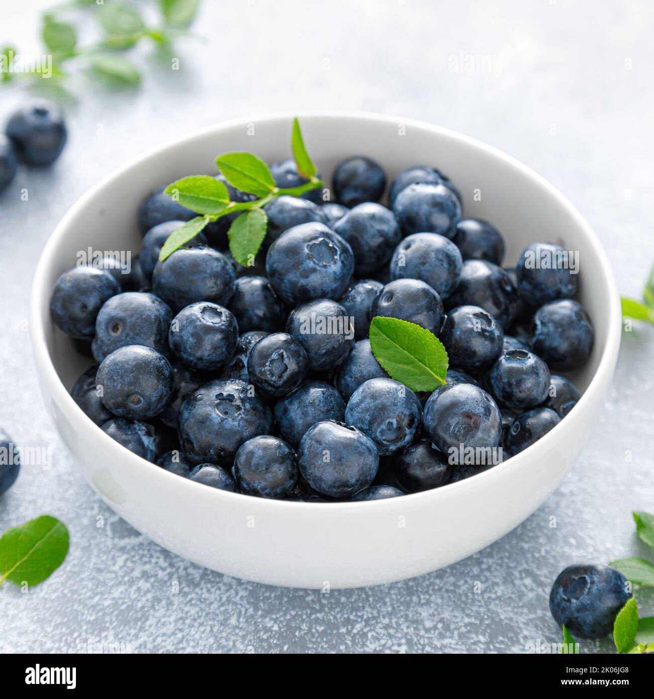 Closeup blueberry plant leaves hi-res stock photography and images - Alamy