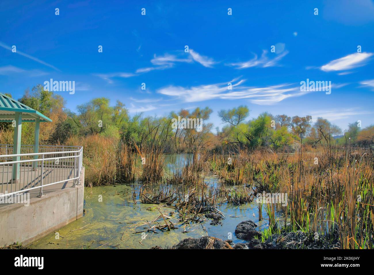 Sweetwater Wetlands nature preserve park in Tucson Arizona with nature ...