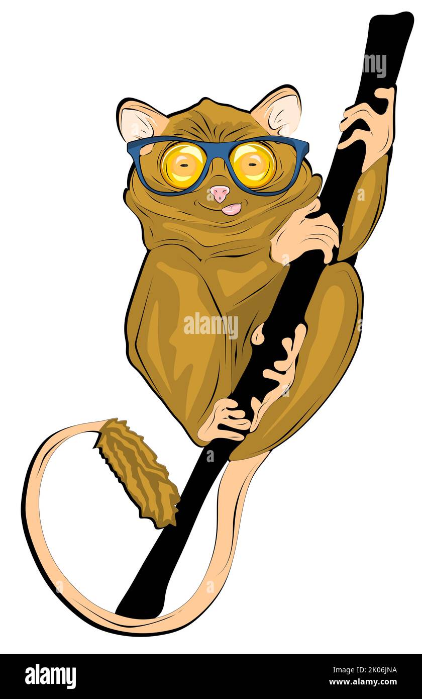 Glasses night Cut Out Stock Images & Pictures - Alamy