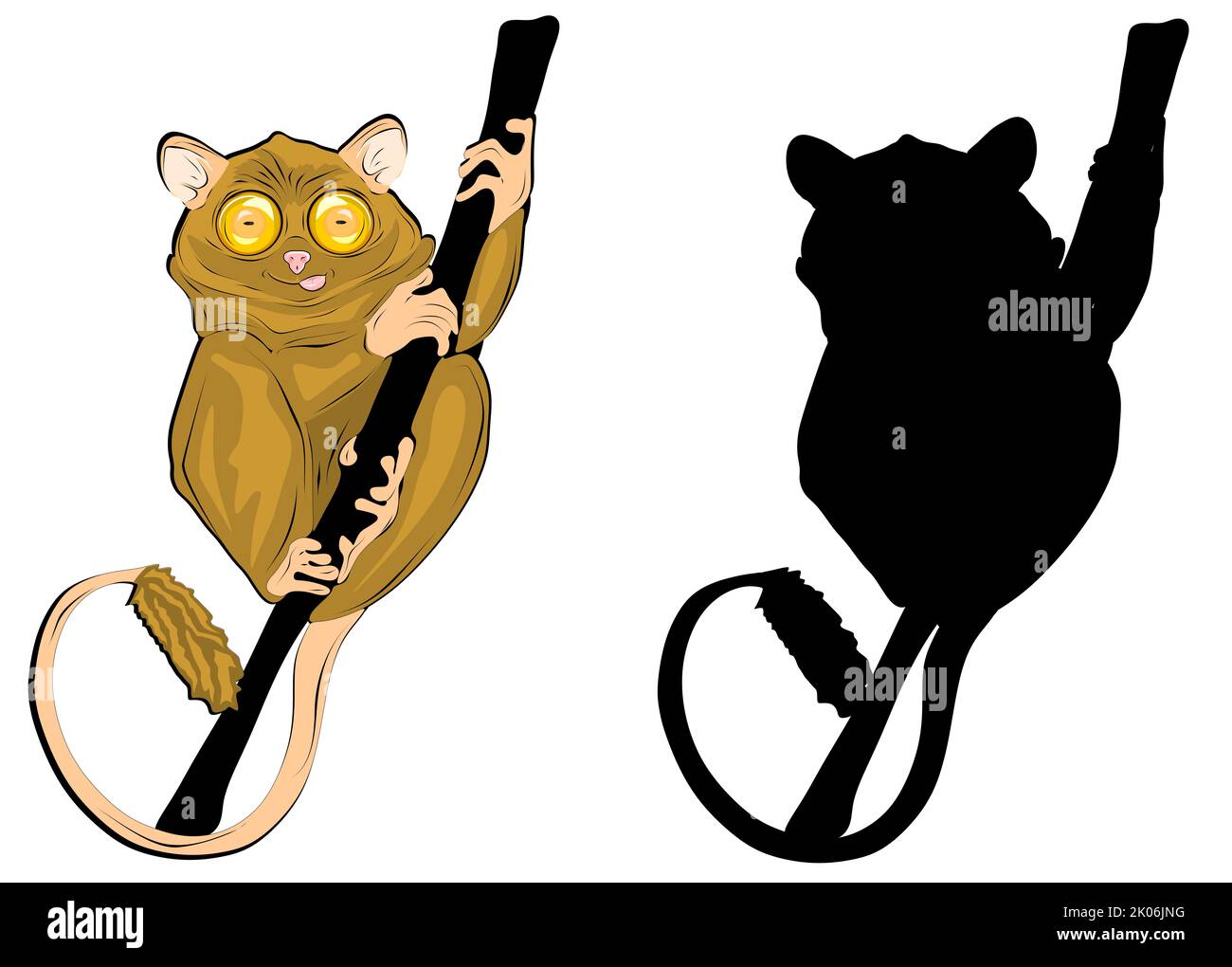 monkey and his shadow Stock Photo - Alamy