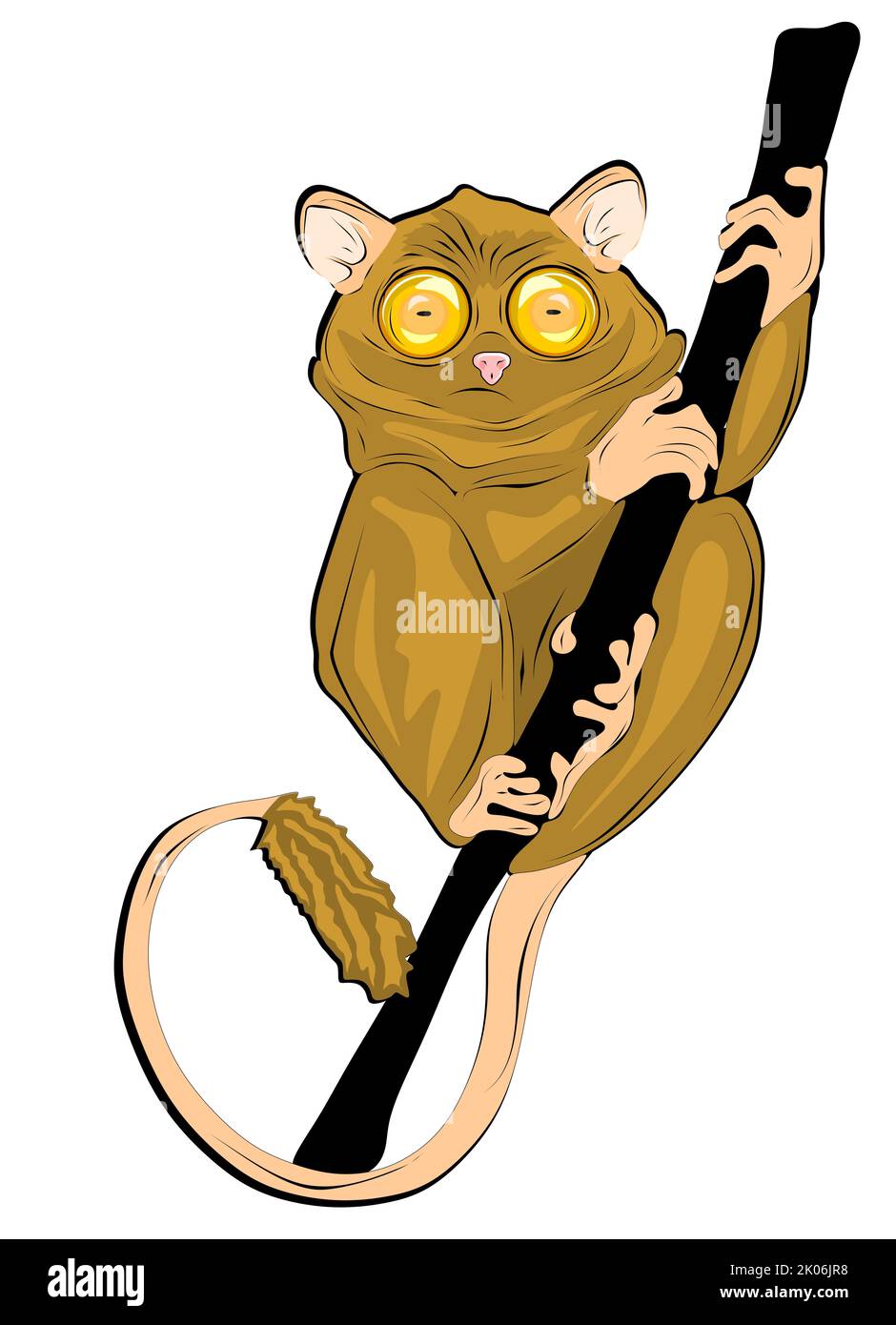 Monkey big eyes hi-res stock photography and images - Alamy