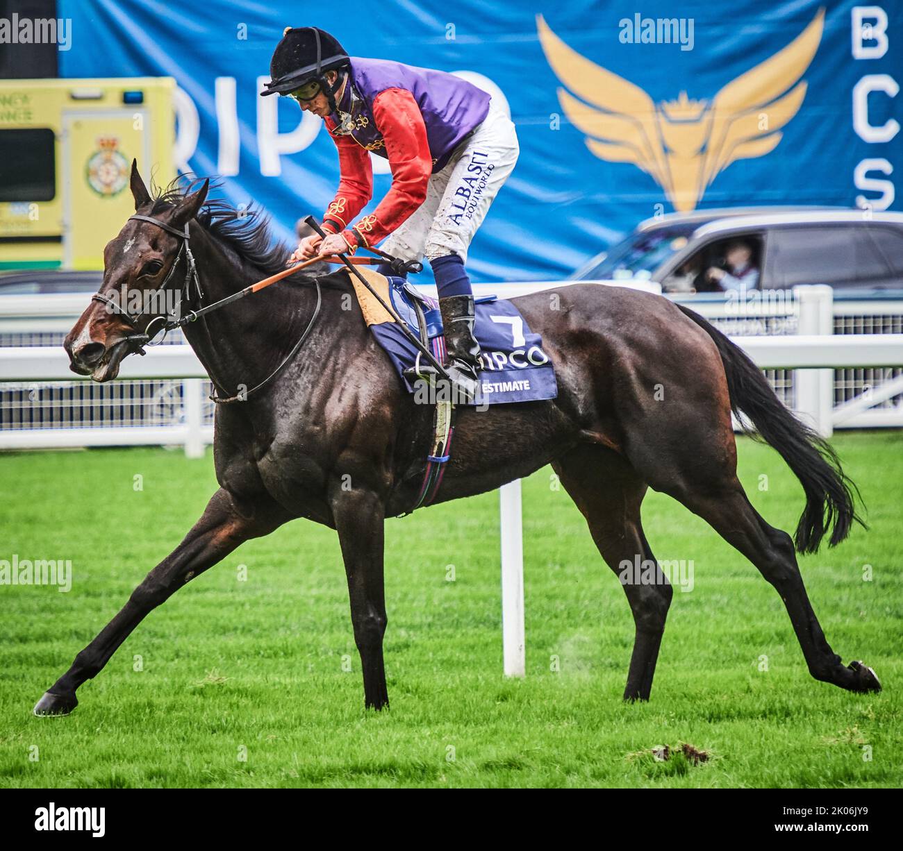 Estimate, owned by Her Majesty Queen Elizabeth II, trained by Sir ...