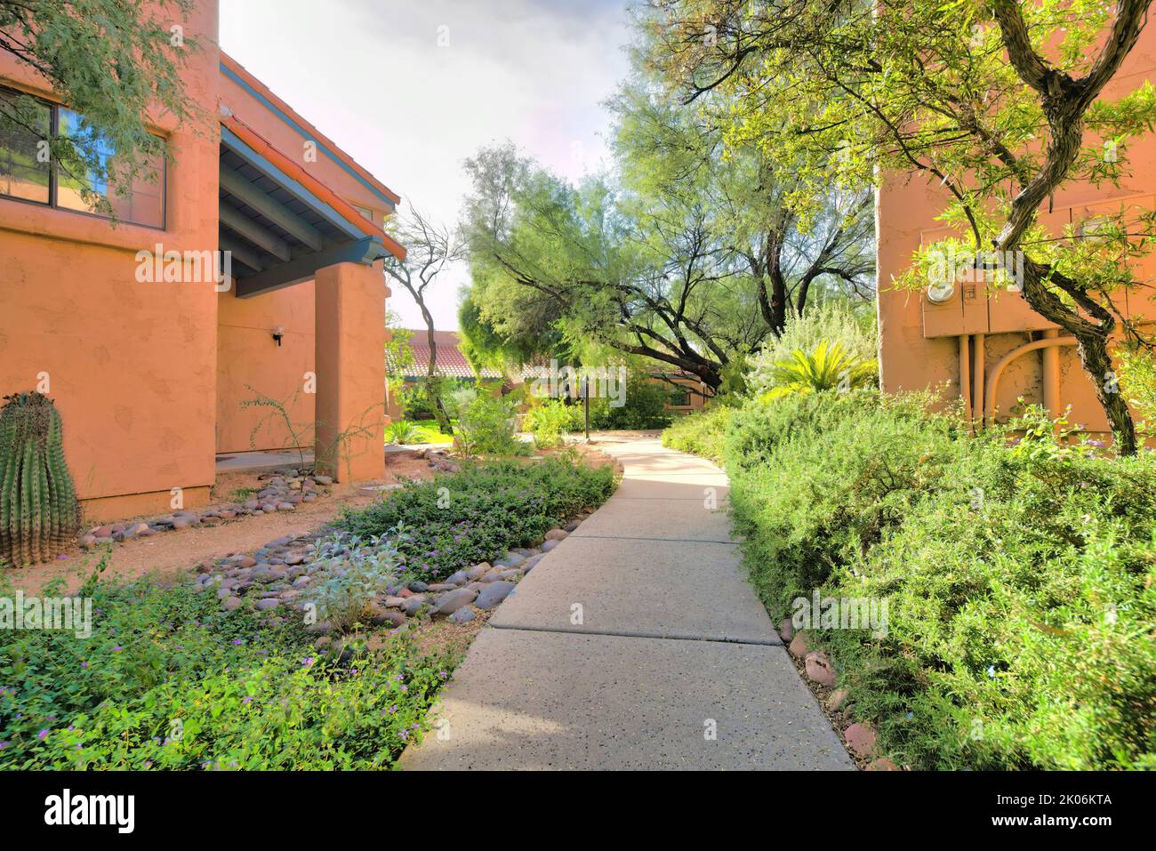 Paved narrow pathway along houses at a peaceful neighborhood on a sunny ...