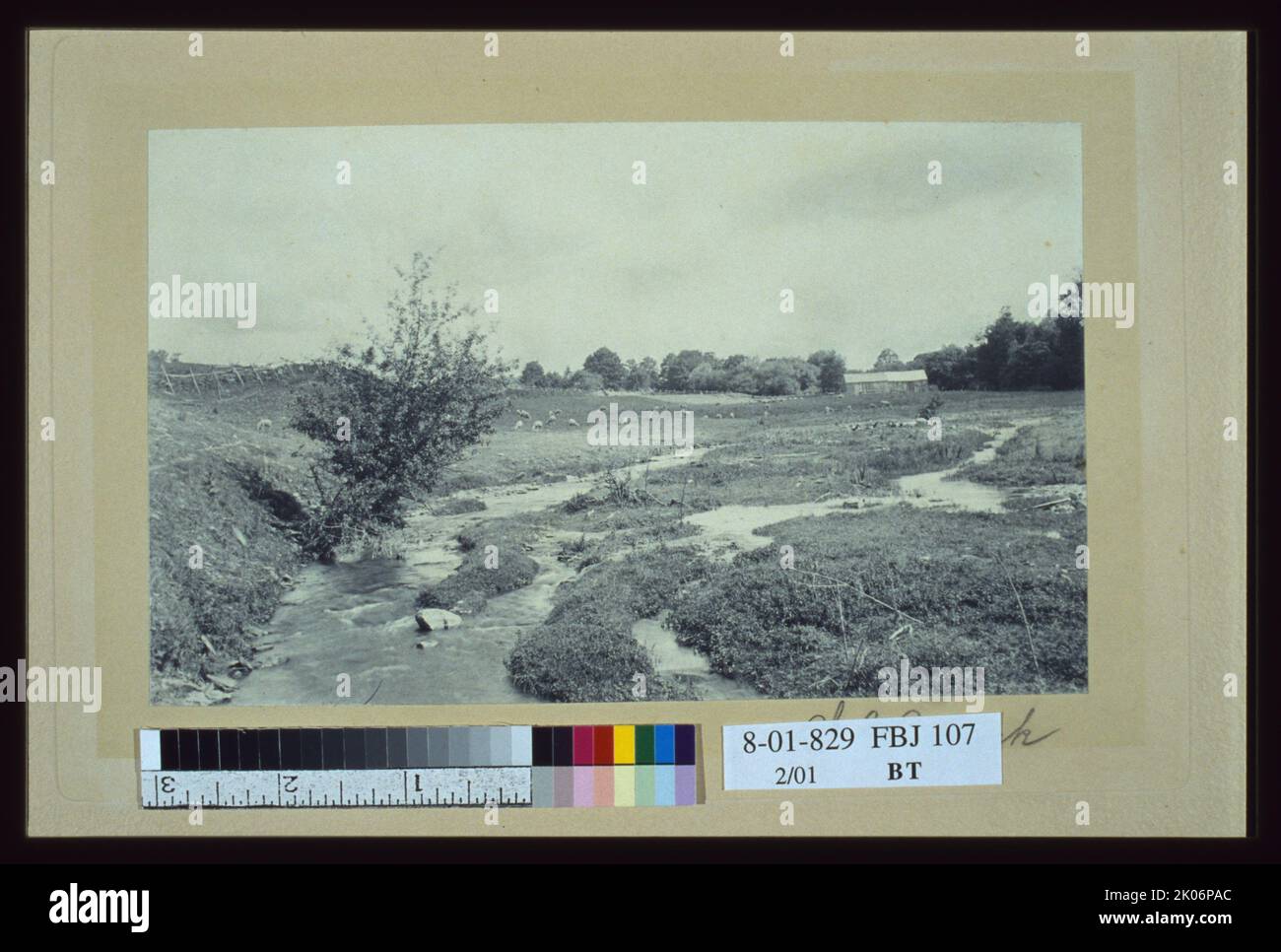 The brook, 1895. Photograph shows landscape view of a brook with sheep ...