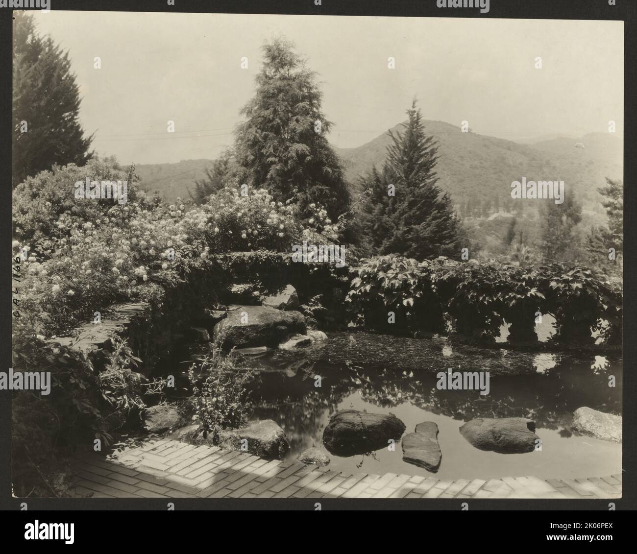 Procter and gamble 1910s hi-res stock photography and images - Alamy