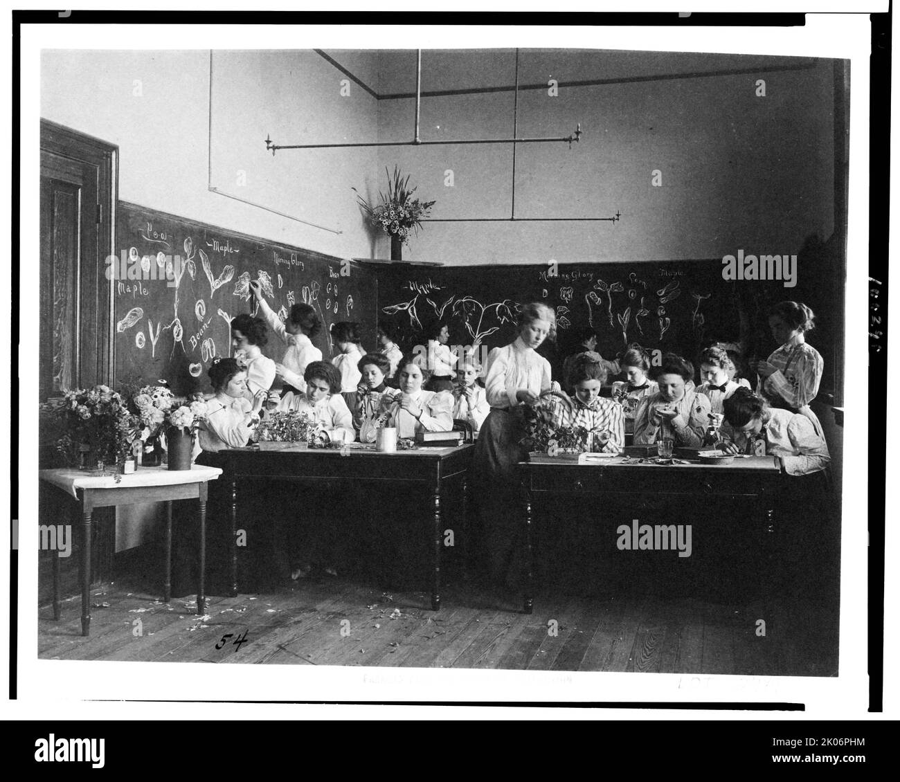 Group of young women studying plants in normal school, Washington, D.C ...