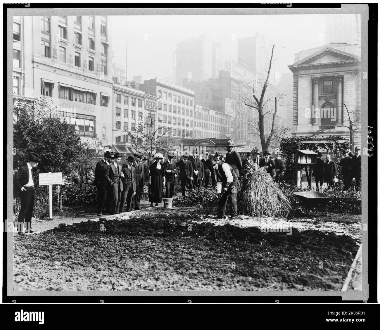 Gardening library Cut Out Stock Images & Pictures - Alamy
