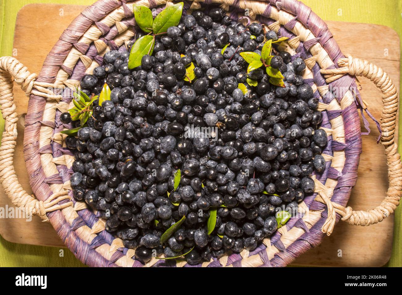 Mirto di Sardegna Stock Photo - Alamy