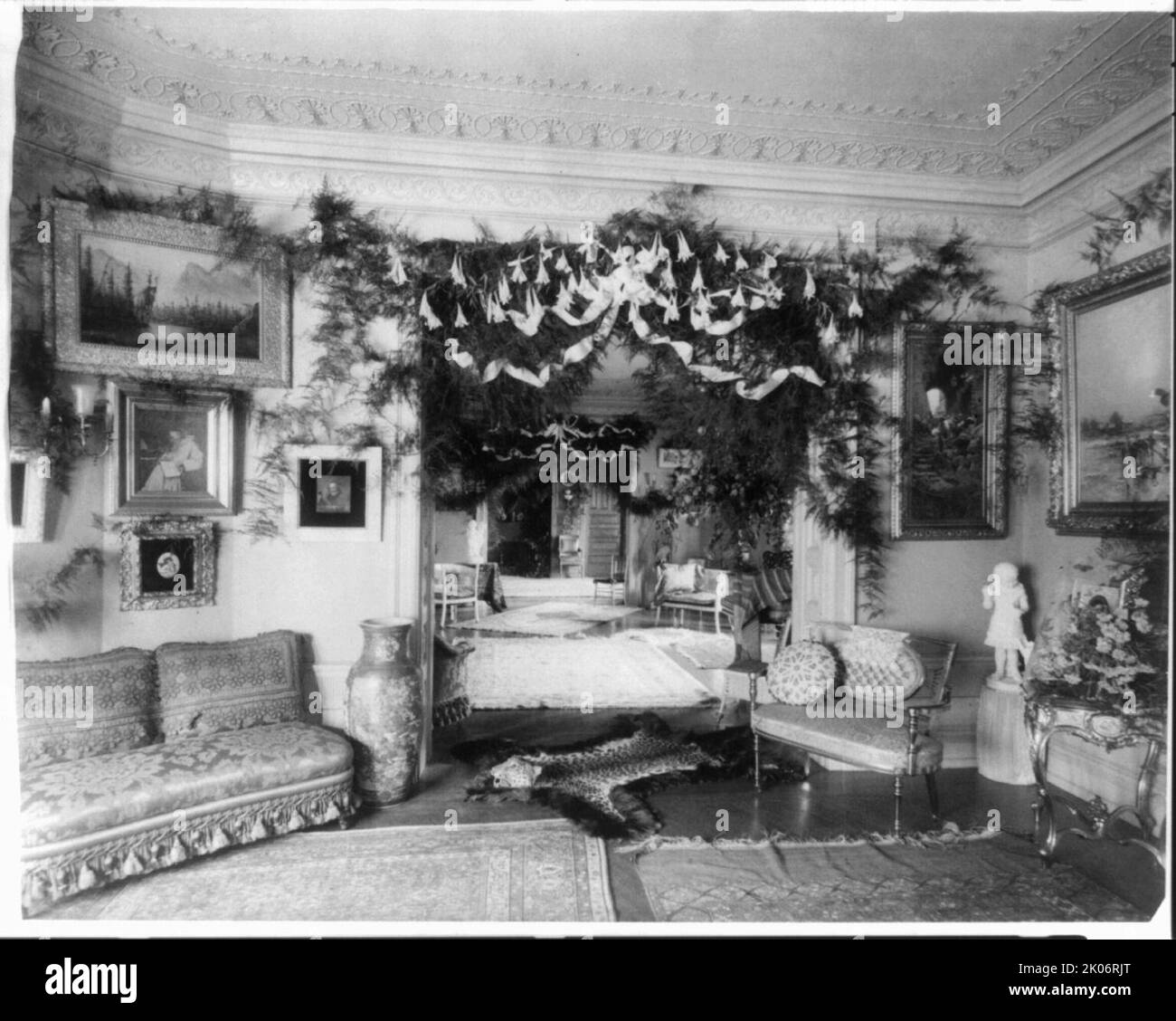 House plants indoors Black and White Stock Photos & Images - Alamy