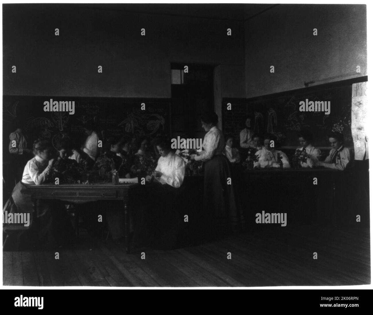 Classroom scene - ladies' floriculture class, Normal School, Washington ...