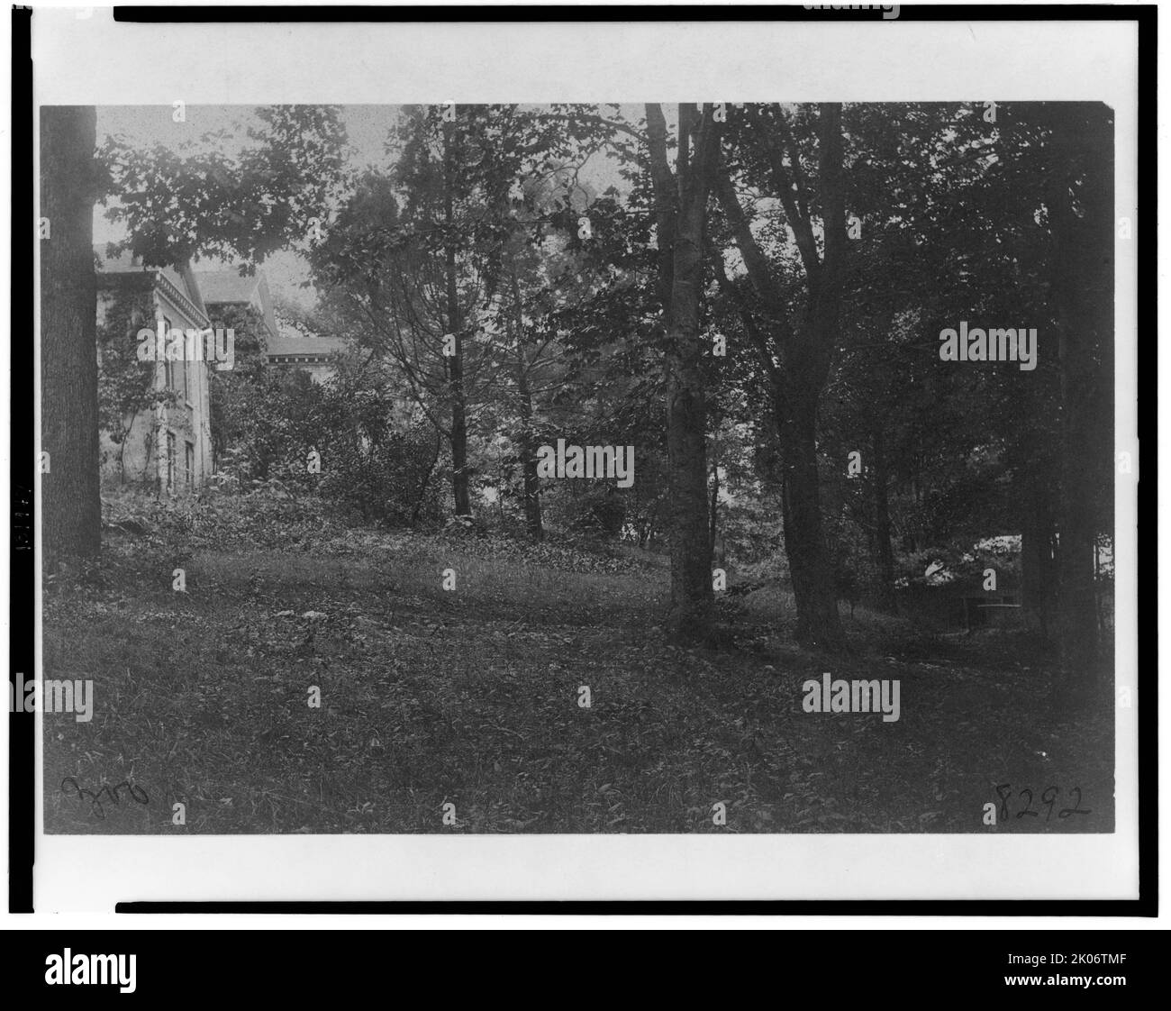 Zoo, c1895. Photograph showing wooded area at the National Zoological ...