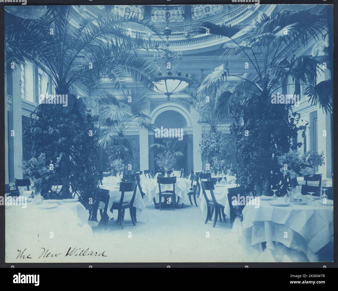 Willard Hotel - dining room, between 1901 and 1910 Stock Photo - Alamy