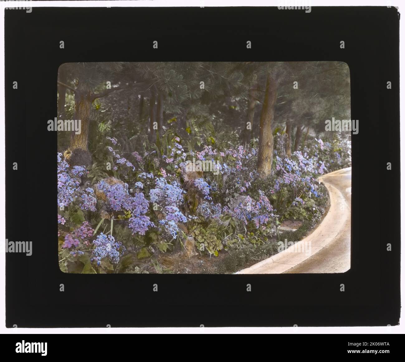 "Kimberly Crest," John Alfred Kimberly house, 1325 Prospect Drive ...