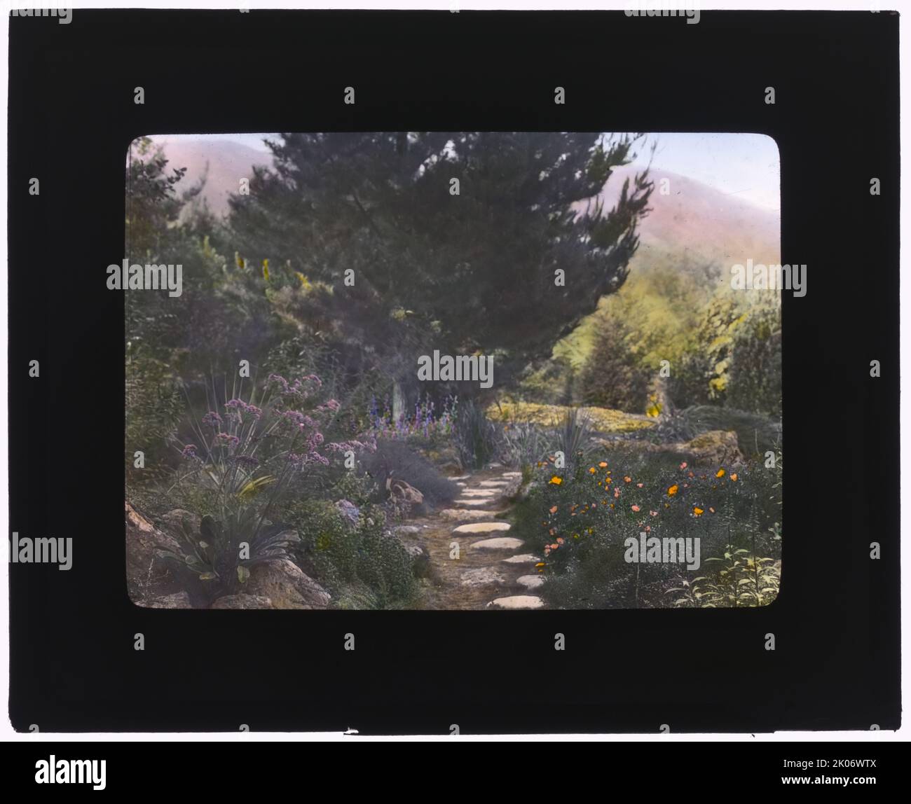 William alexander spinks junior hi-res stock photography and images - Alamy