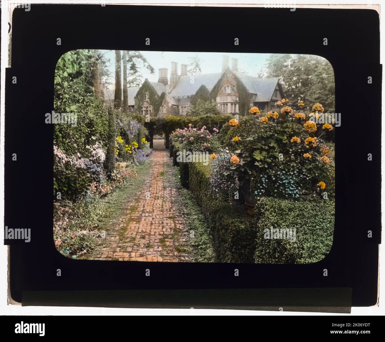 Kirtland kelsey cutter hi-res stock photography and images - Alamy