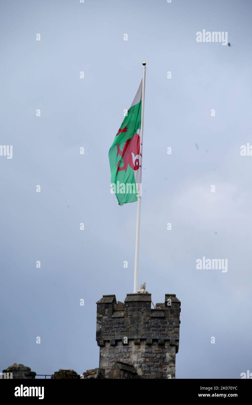 The Welsh national flag flies at full mast on Cardiff Castle after the ...