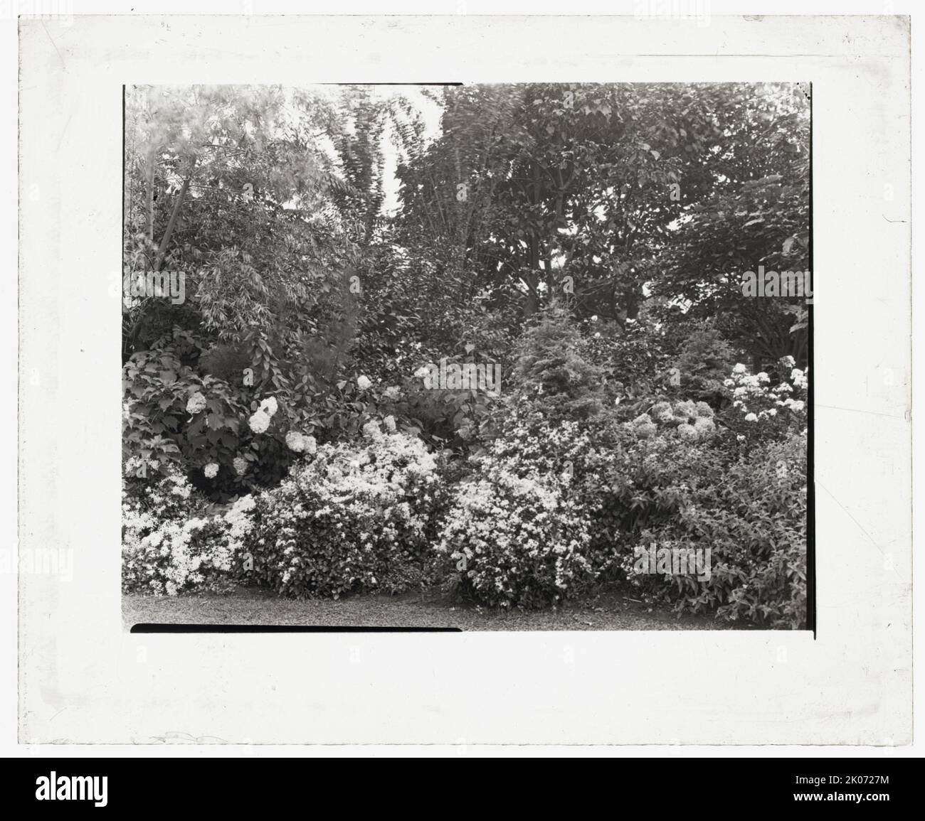 Herbaceous border garden Cut Out Stock Images & Pictures - Alamy