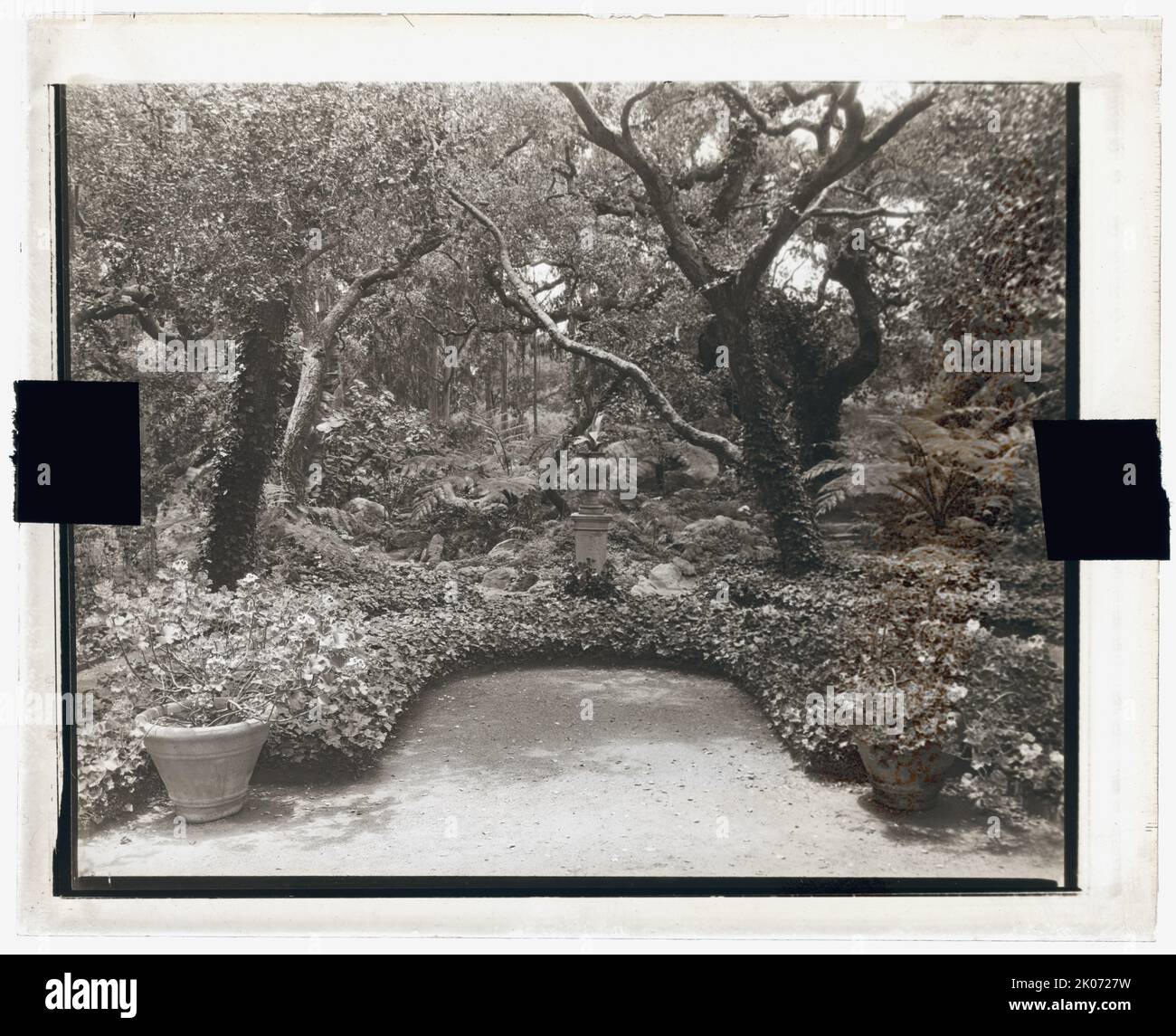 Helen seymour stafford thorne hi-res stock photography and images - Alamy