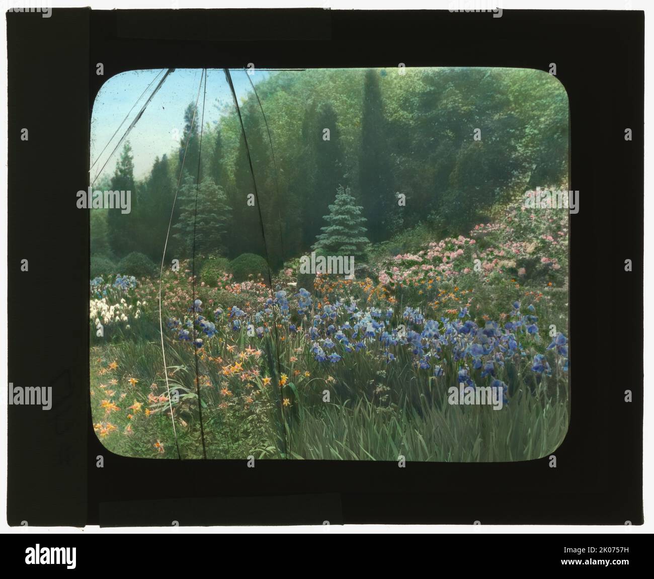 Frederick law olmsted house hi-res stock photography and images - Alamy