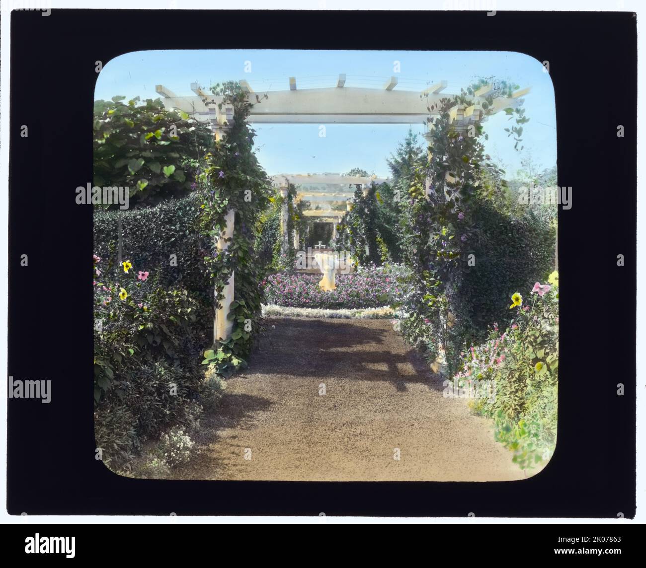 Alexander anderson hi-res stock photography and images - Alamy