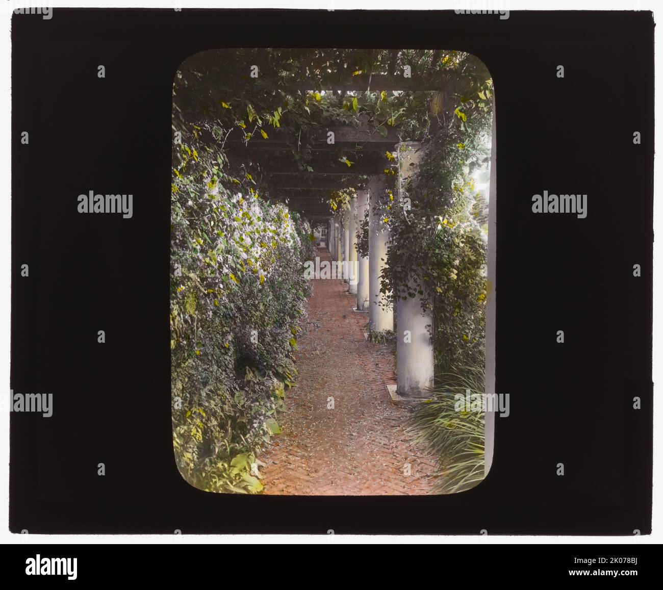 "The Orchard," James Lawrence Breese house, 151 Hill Street ...