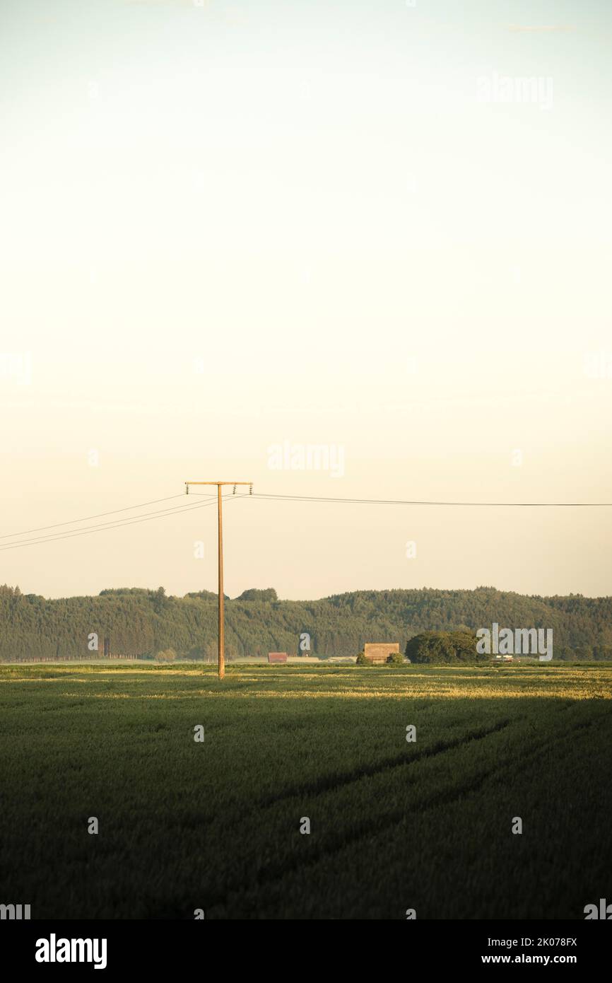 Electric pylon in morning light on green field with forest and clear ...