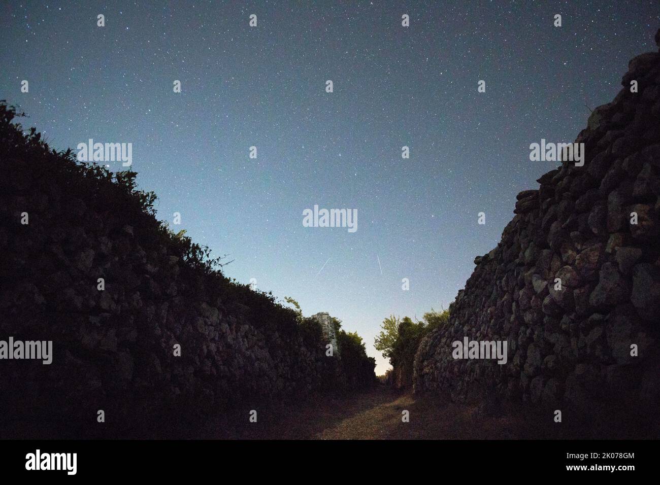 Sky with stars and shooting stars above typical path through olive ...