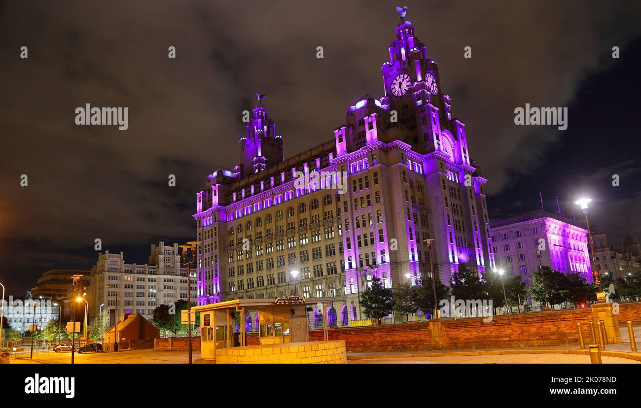 Liver building lit up purple Stock Photo - Alamy