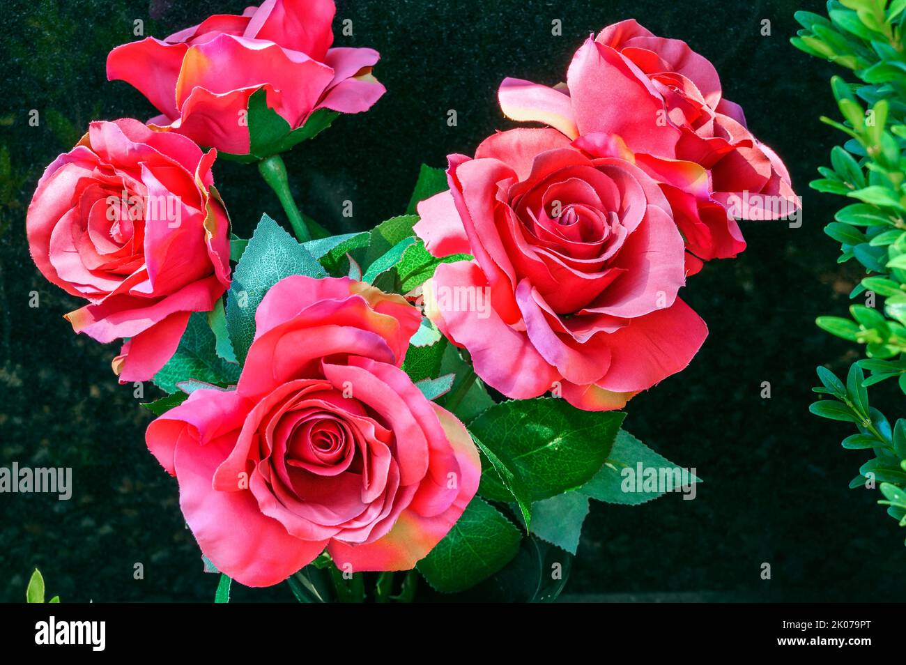 Artificial roses, fabric roses, Germany Stock Photo - Alamy