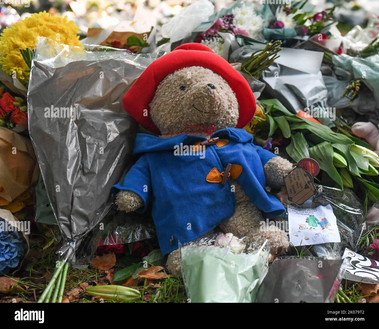 Paddington Bear Tribute in The Green Park Day 2 Queens death at ...