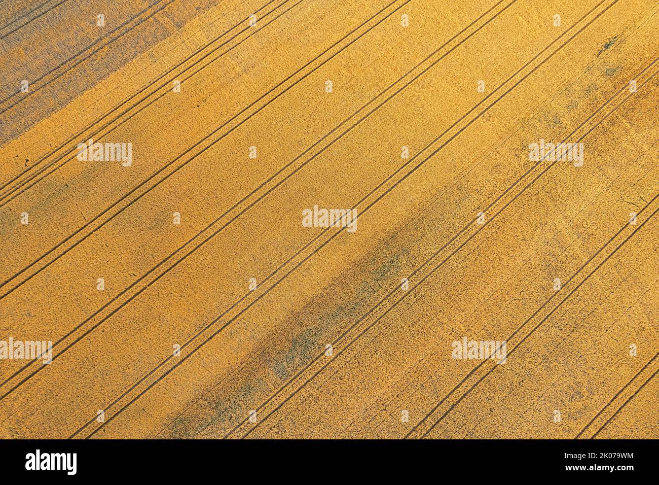 Aerial view of a field with vehicle tracks, Gechingen, Germany Stock ...