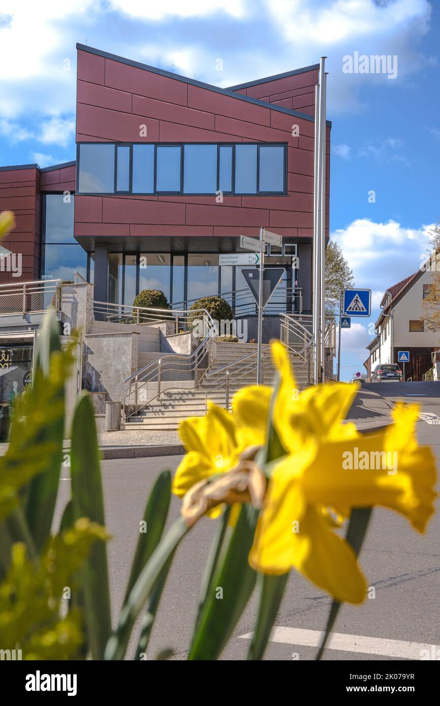 Town hall with spring flowers. Gechingen, Germany Stock Photo - Alamy