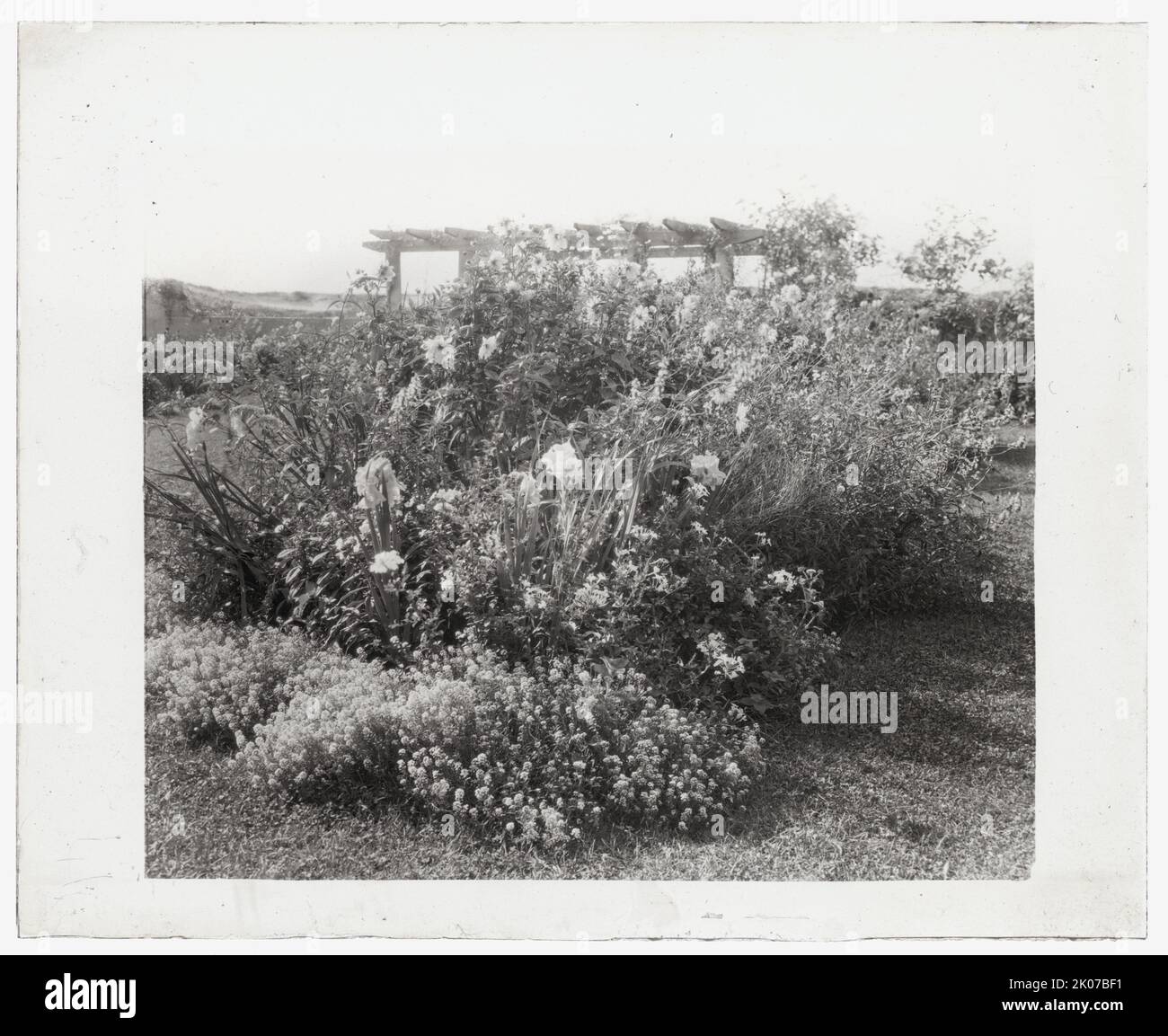 "Gray Gardens," Robert Carmer Hill house, Lily Pond Lane, East Hampton ...