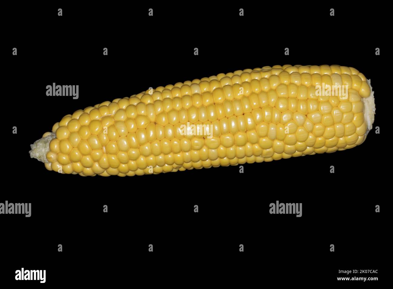 Corn (Zea mays), corn on the corn cob, food photography with black ...