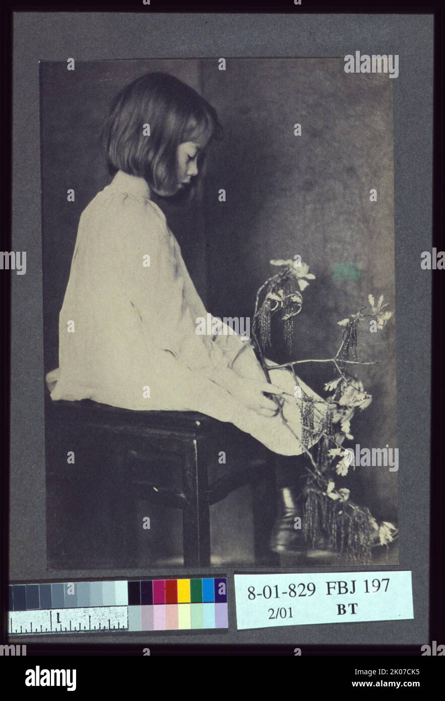 Child with oak branch, c1900. Photograph shows a girl sitting on a ...