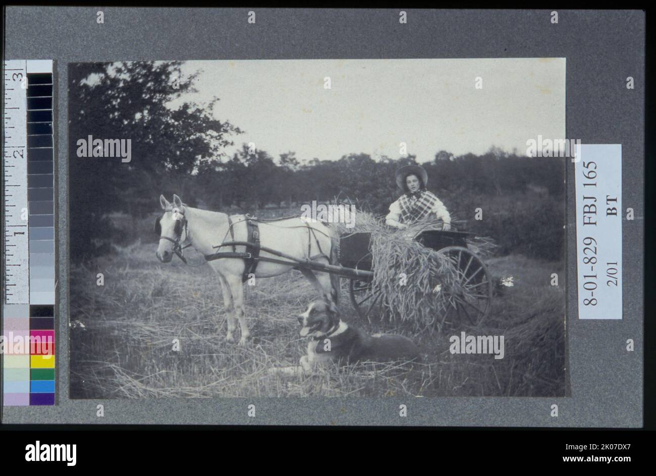 Boon companions, c1900. Photograph shows young woman wearing a straw ...