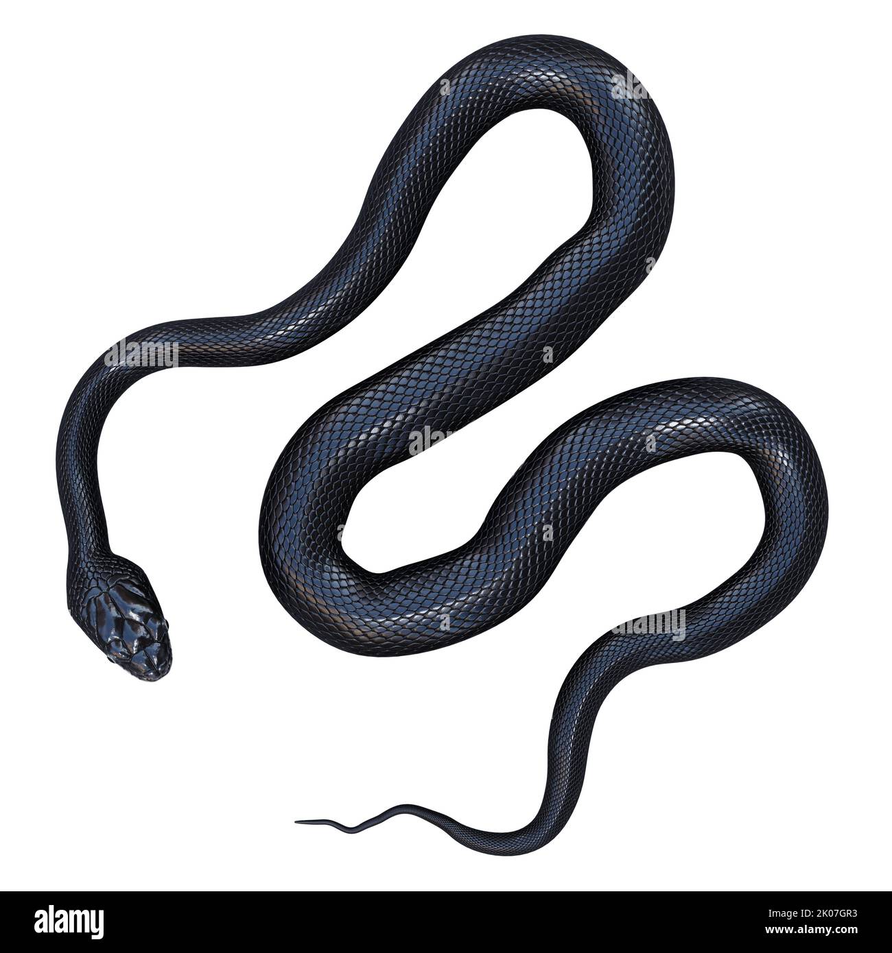 Black rat snake 3D illustration Stock Photo - Alamy