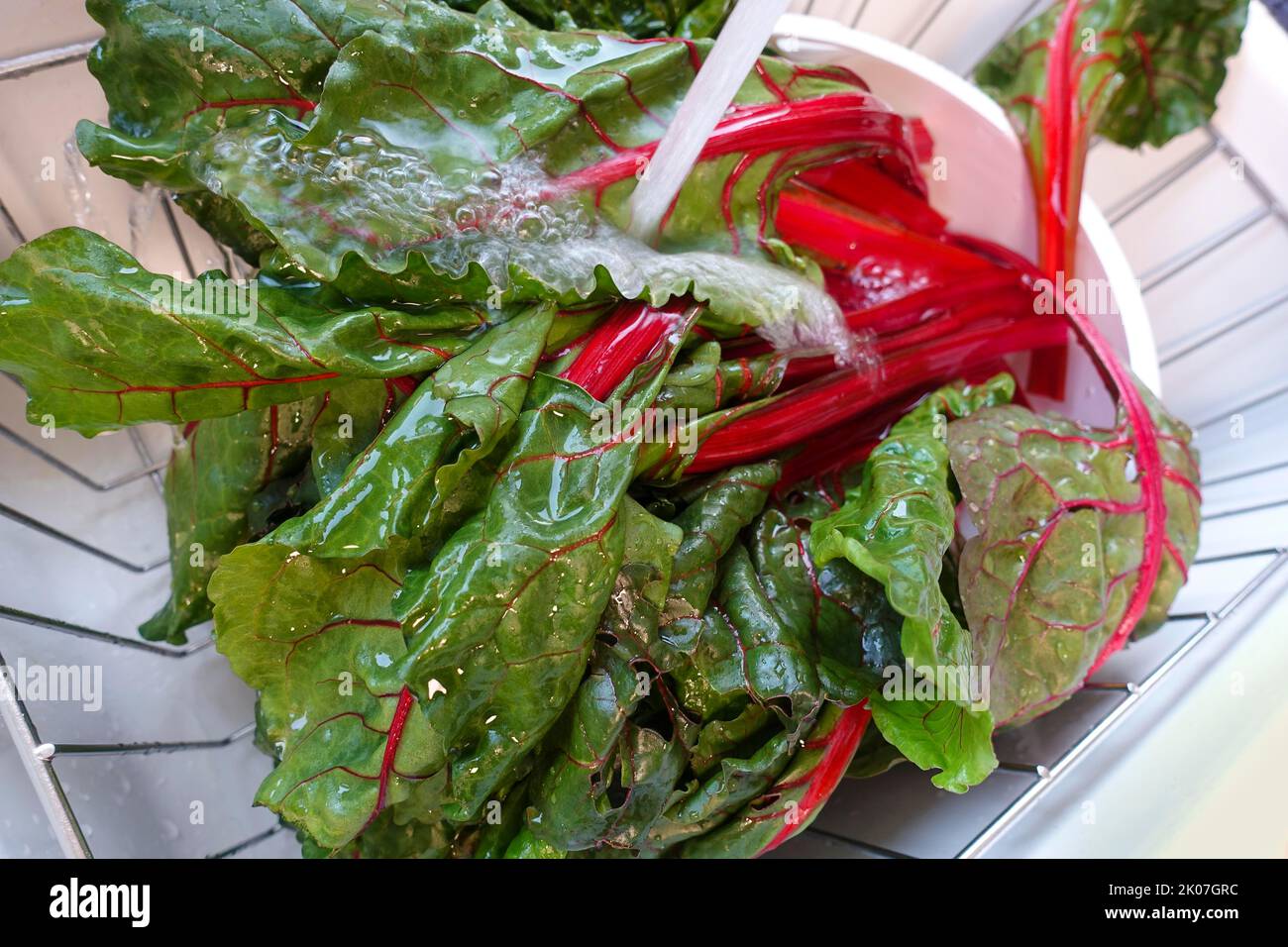 Beetroot (Beta vulgaris subsp. vulgaris), chard leaves wash, water jet ...