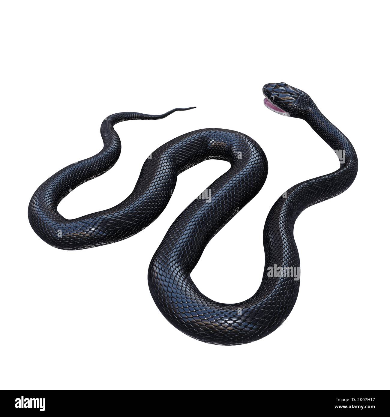 Computer illustrated creatures hi-res stock photography and images - Alamy