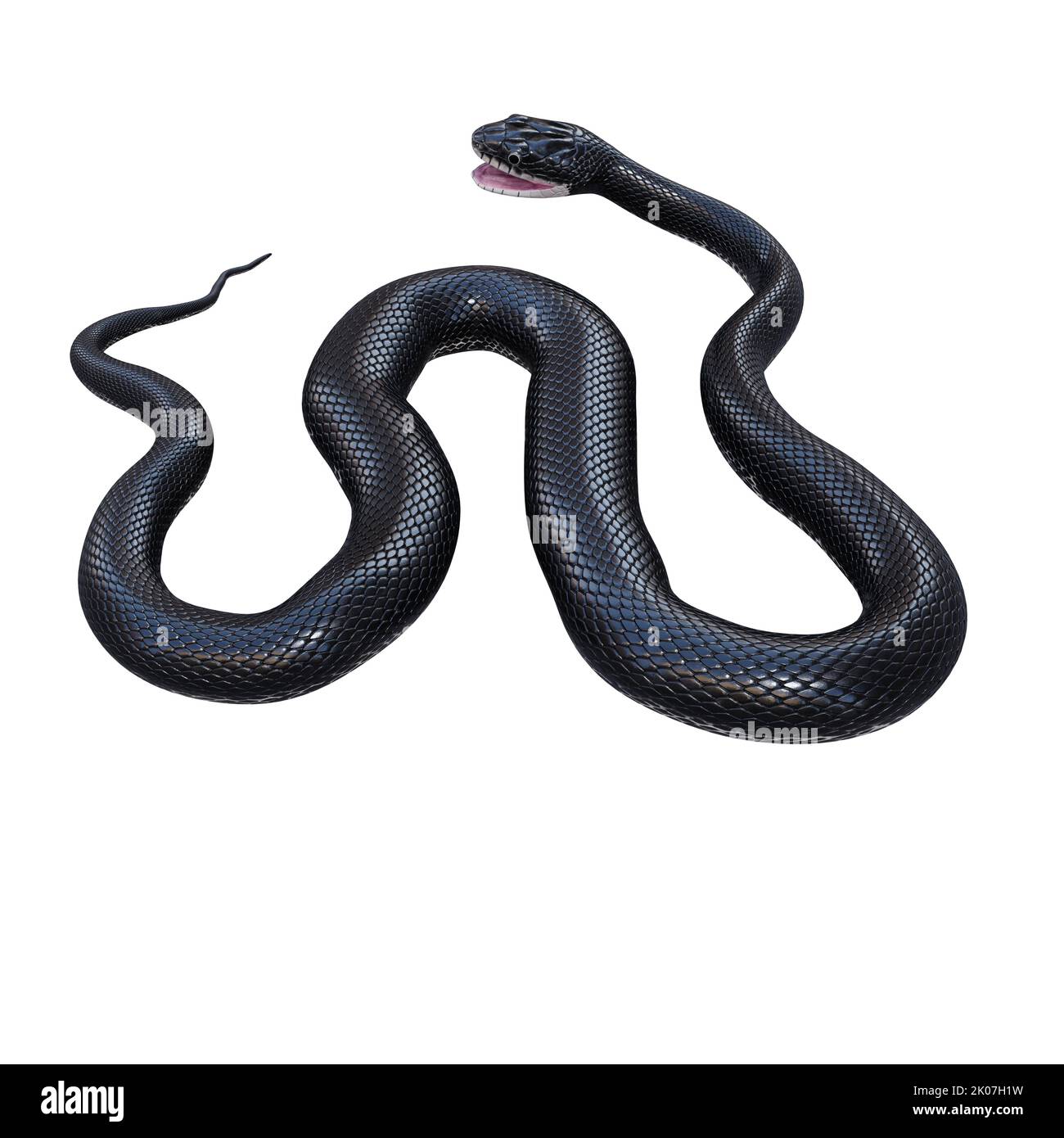 Black rat snake 3D illustration Stock Photo - Alamy