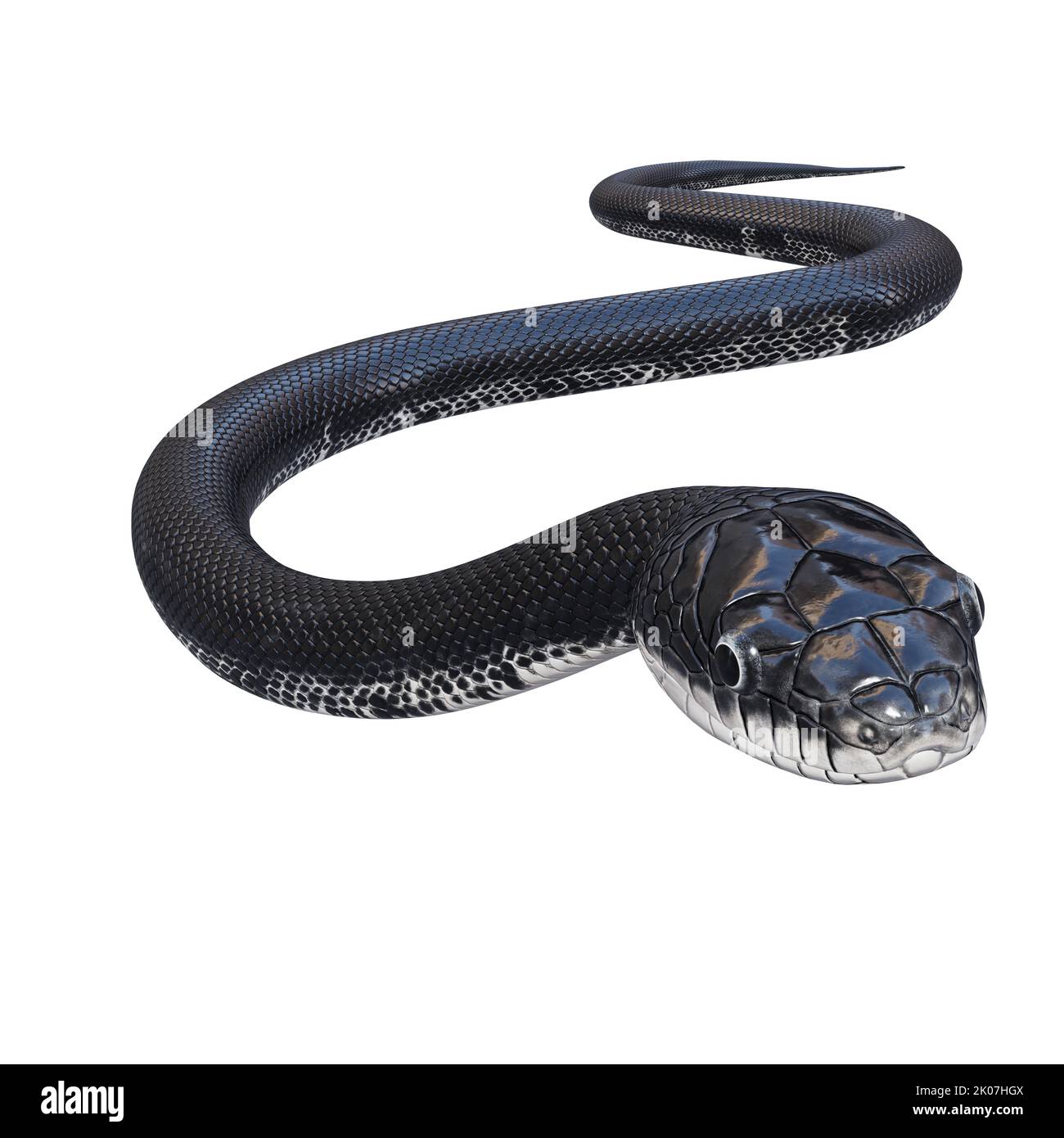 Black rat snake 3D illustration Stock Photo - Alamy
