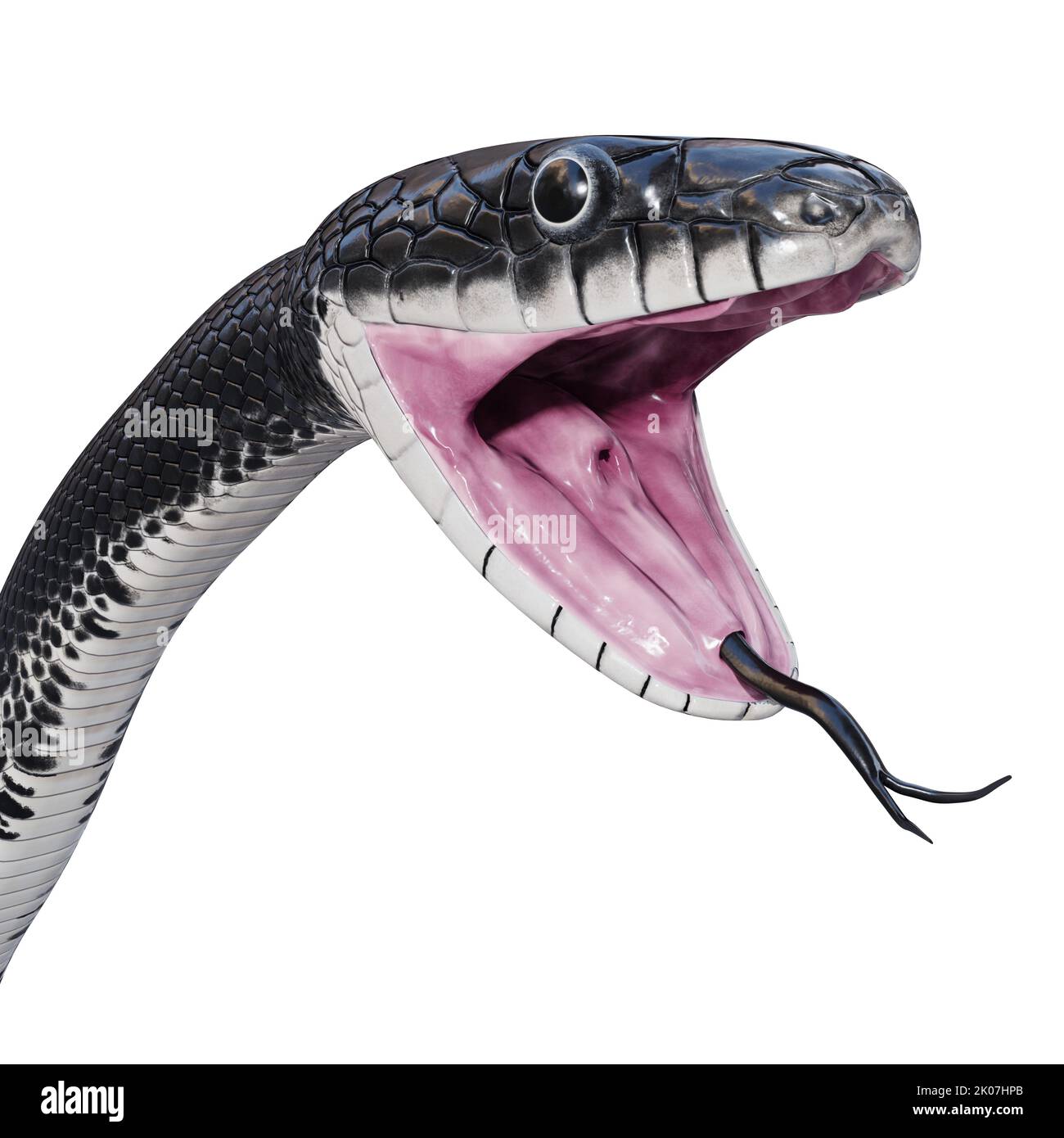Black rat snake 3D illustration Stock Photo - Alamy